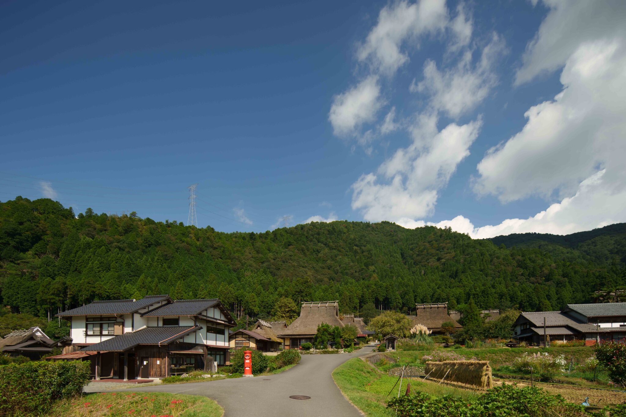 Japan Enzyme Bath Association Offers Special Business Tour: Enzyme Bath ...